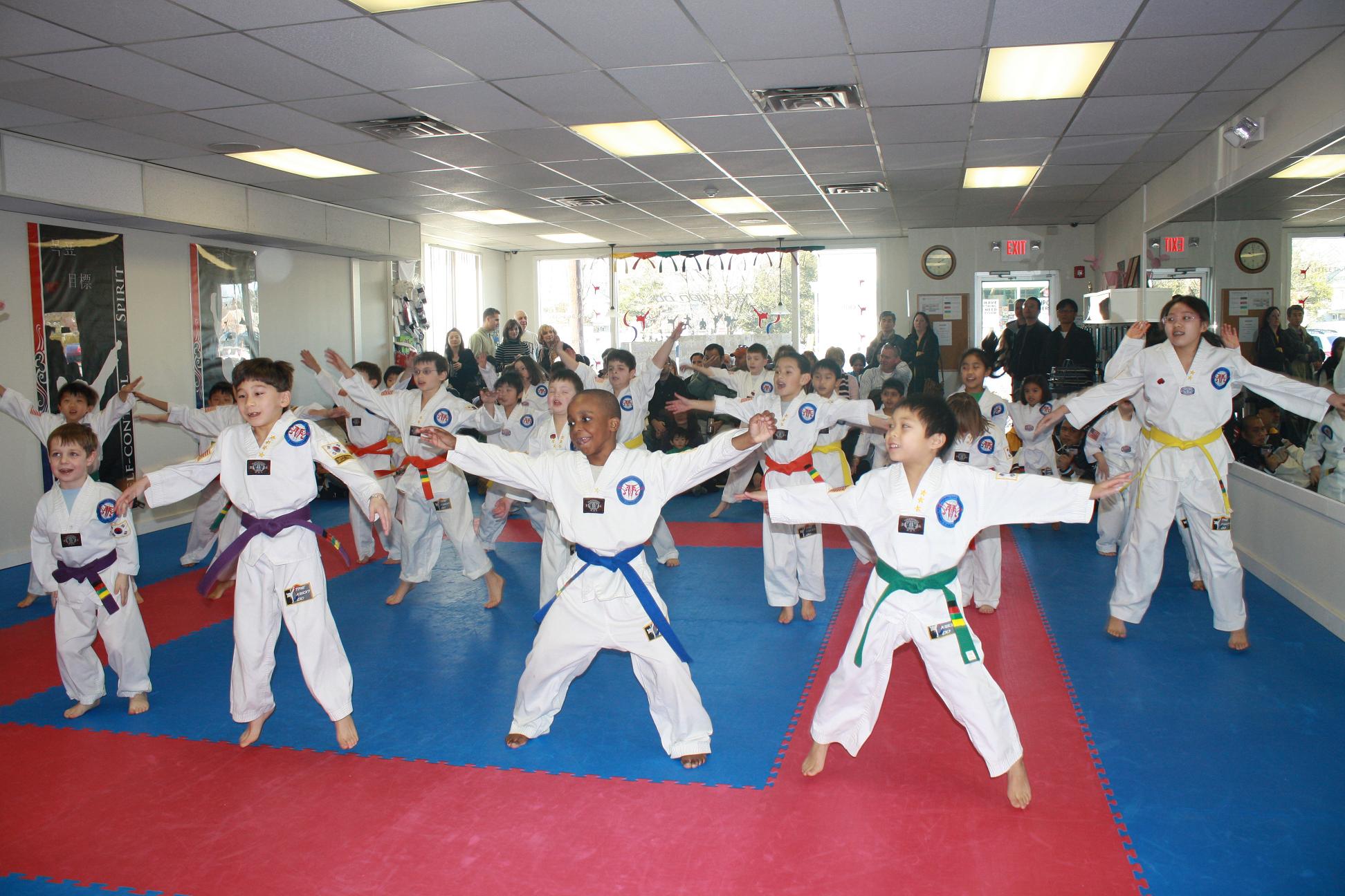 Gallery – Hosan TKD