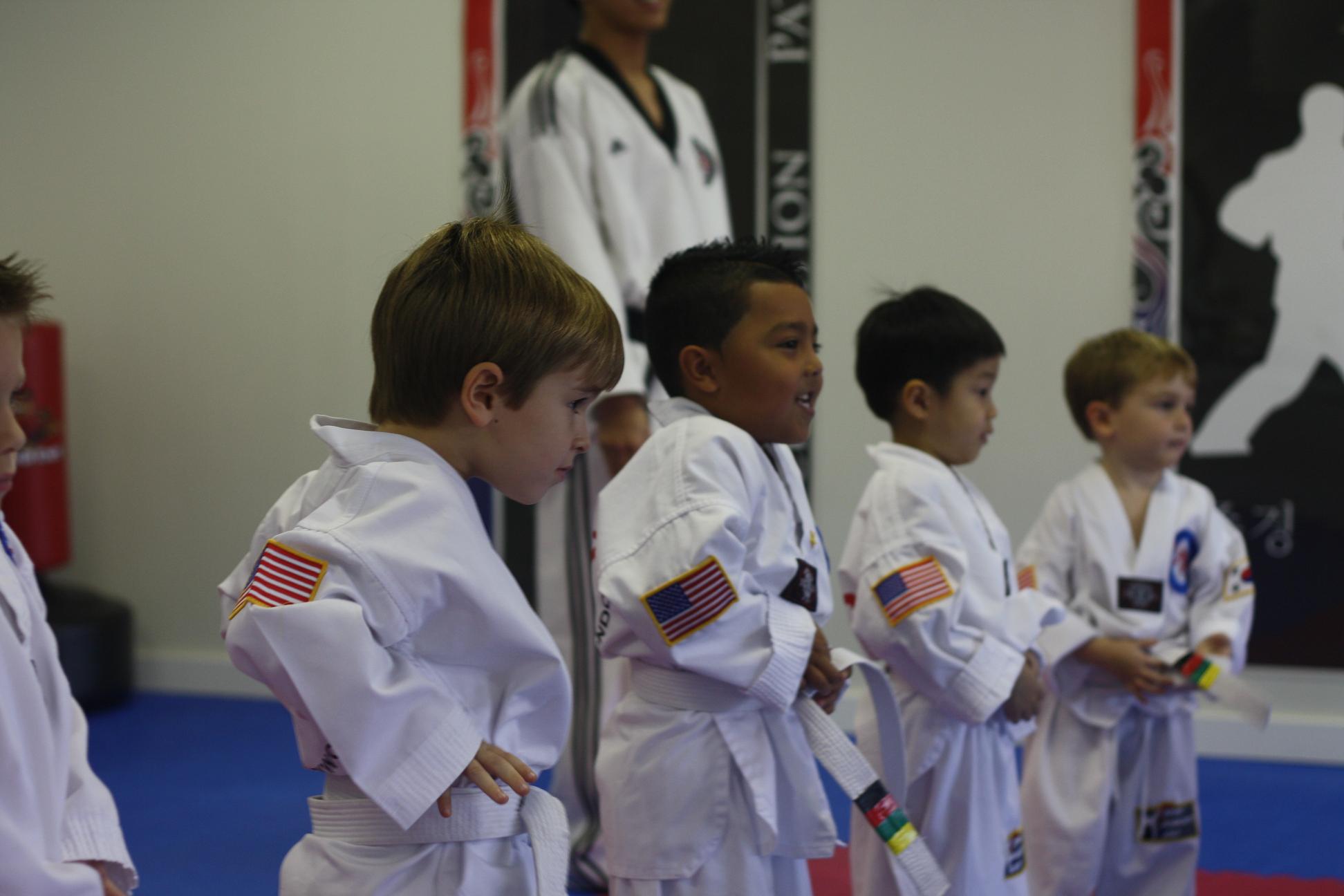 About Us – Hosan TKD